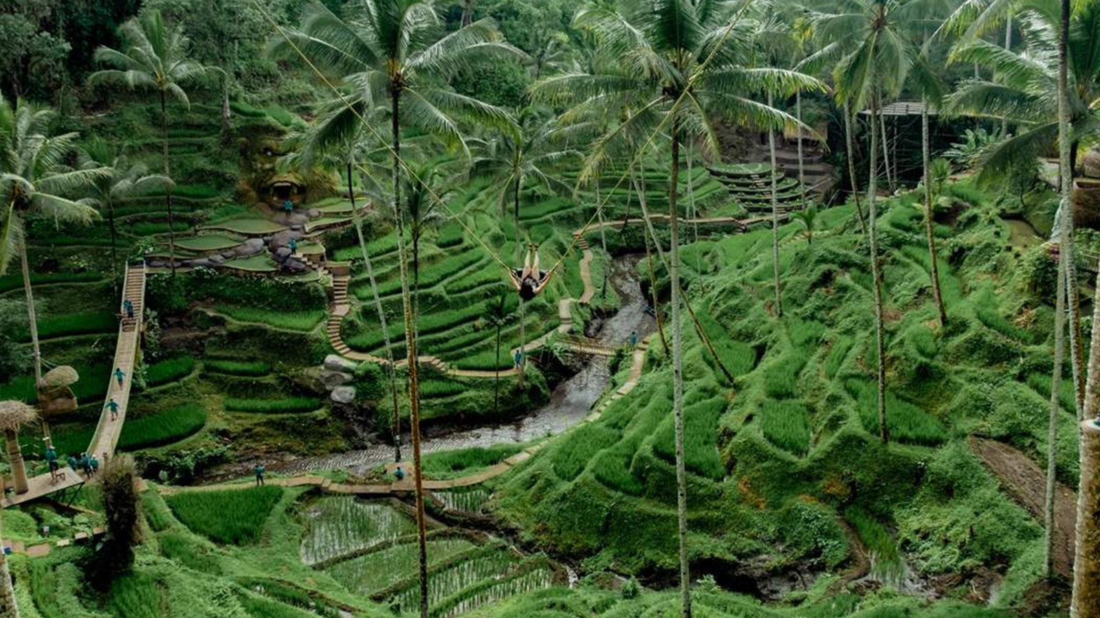 Home - Red Dog Bali Tours